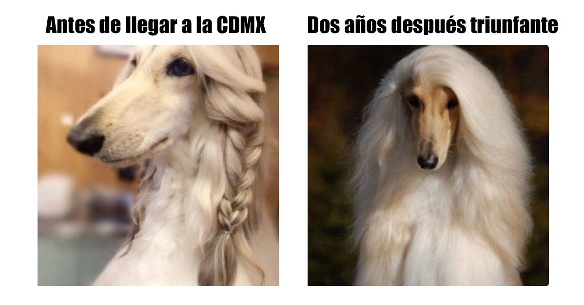 17 Memes que describen a la perfección lo que es ser foráneo en la CDMX