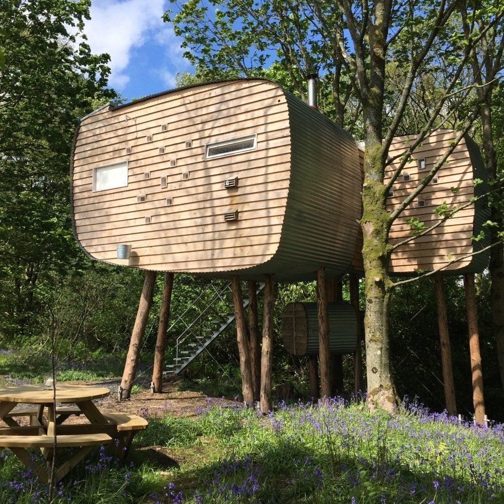 7 Insane Scottish Tree Houses That Look Like Something Out Of A Fantasy ...