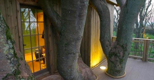 7 Insane Scottish Tree Houses That Look Like Something Out Of A Fantasy ...