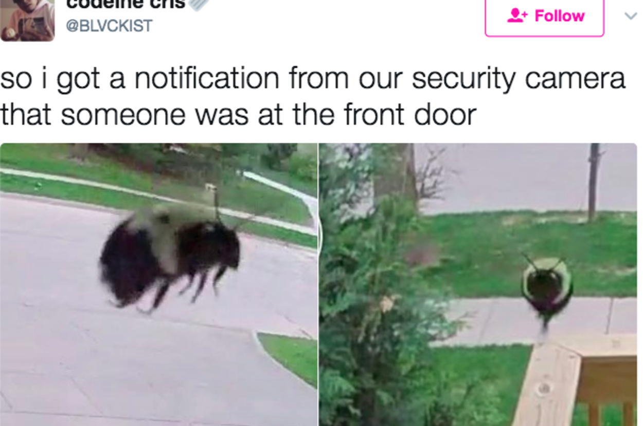 21 Feel-Good Tweets That Will Make You Feel Better About Everything