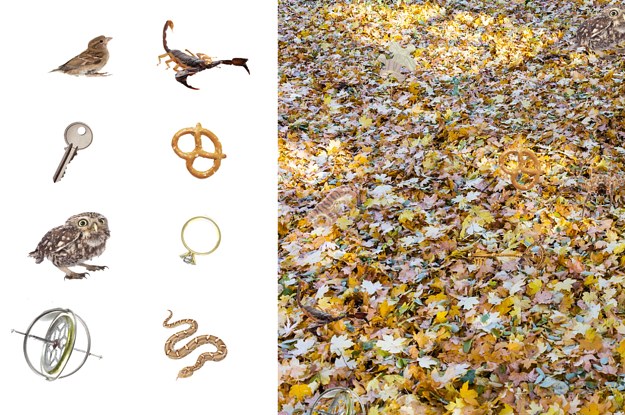 Can You Find All 17 Items Hidden In This Picture?