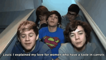 22 Things You'll Only Understand If You Were A Directioner
