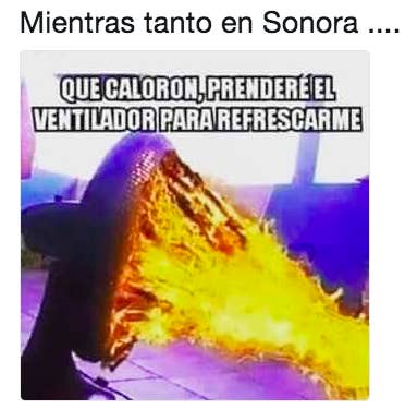 21 Memes del calor que solo entenderás si vives en Sonora