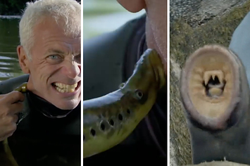 River Monsters Vampire Eel