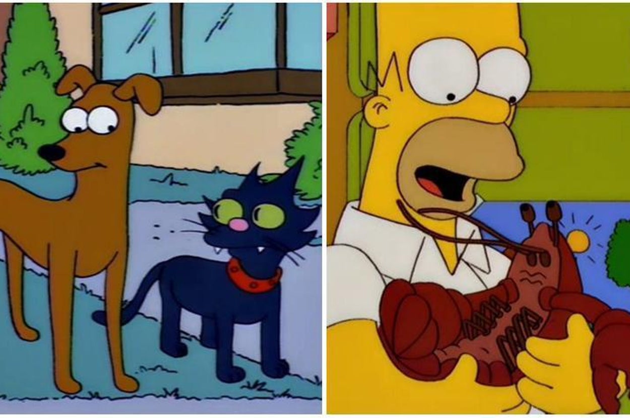 Only A Real “Simpsons” Fan Can Name 8/15 Of These Animals