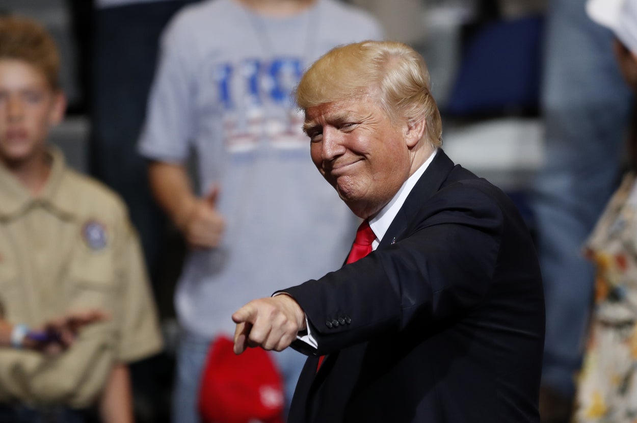 Trump Wants To Cover His Border Wall With Solar Panels, And His Fans ...