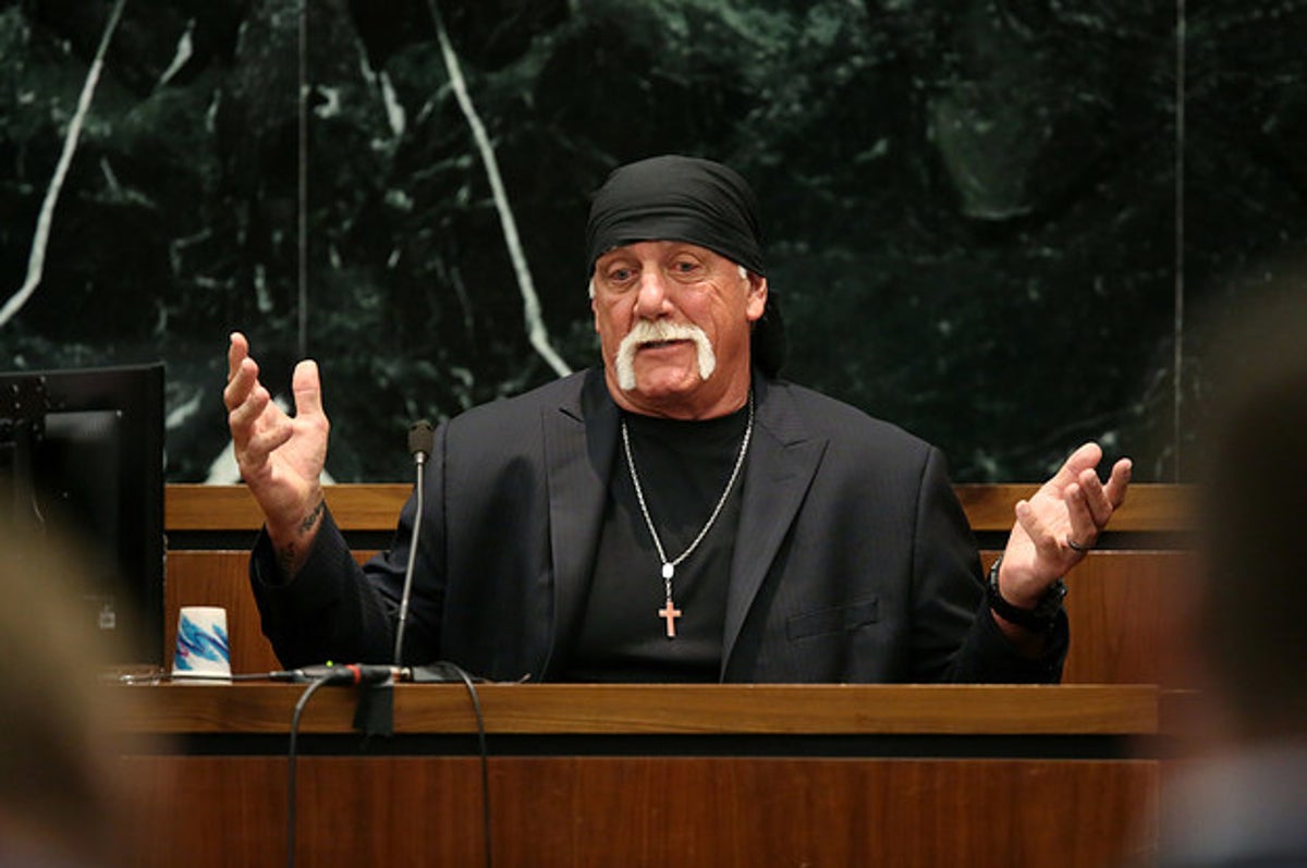 A Judge Allows The Gawker–Hulk Hogan Saga To Roll On