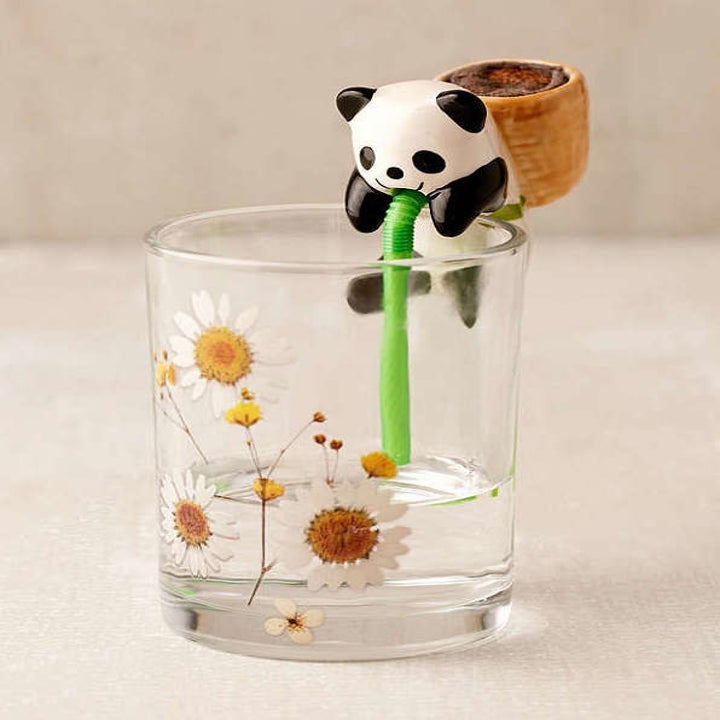 26 Impossibly Cute Pieces Of Decor That Need A Home