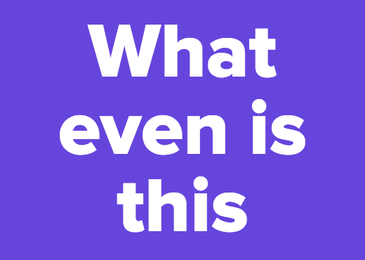 This Insane House Is Every Cat Lover's Fever Dream