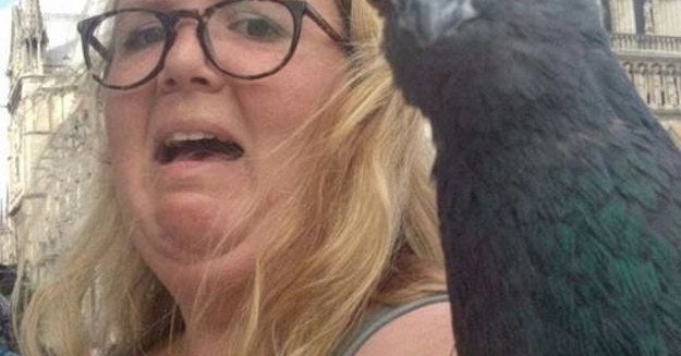 21 Real-Life Photobombs That Prove Timing Is Everything