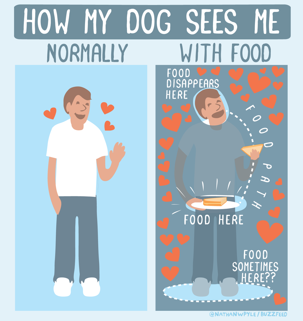 19 Things Any Dog-Lover Has Done