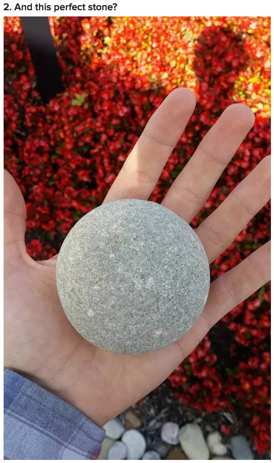 Ocd Pictures Satisfy