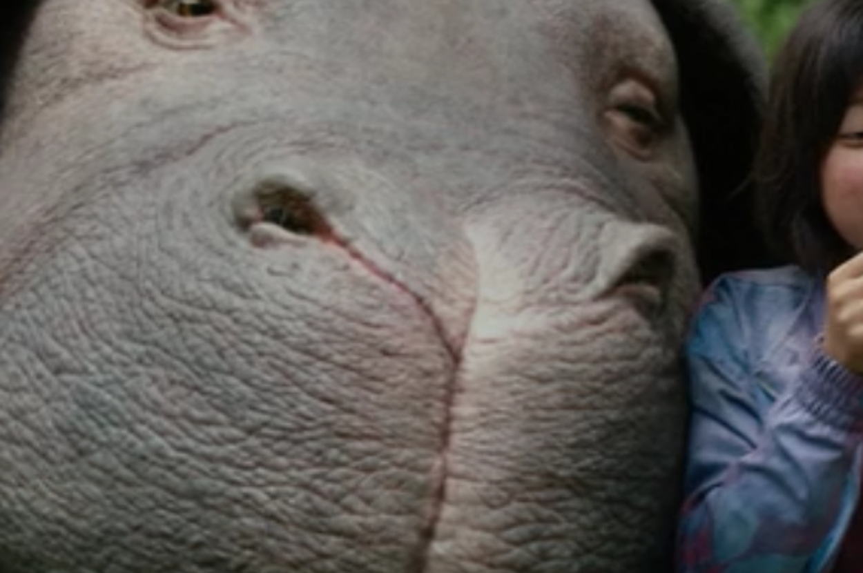 You'll Have Questions About Pigs When You Watch "Okja," And Here Are ...