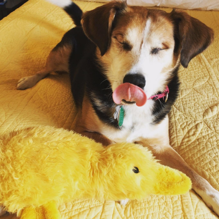 32 Ridiculously Cute Products That Will 100% Melt Your Heart