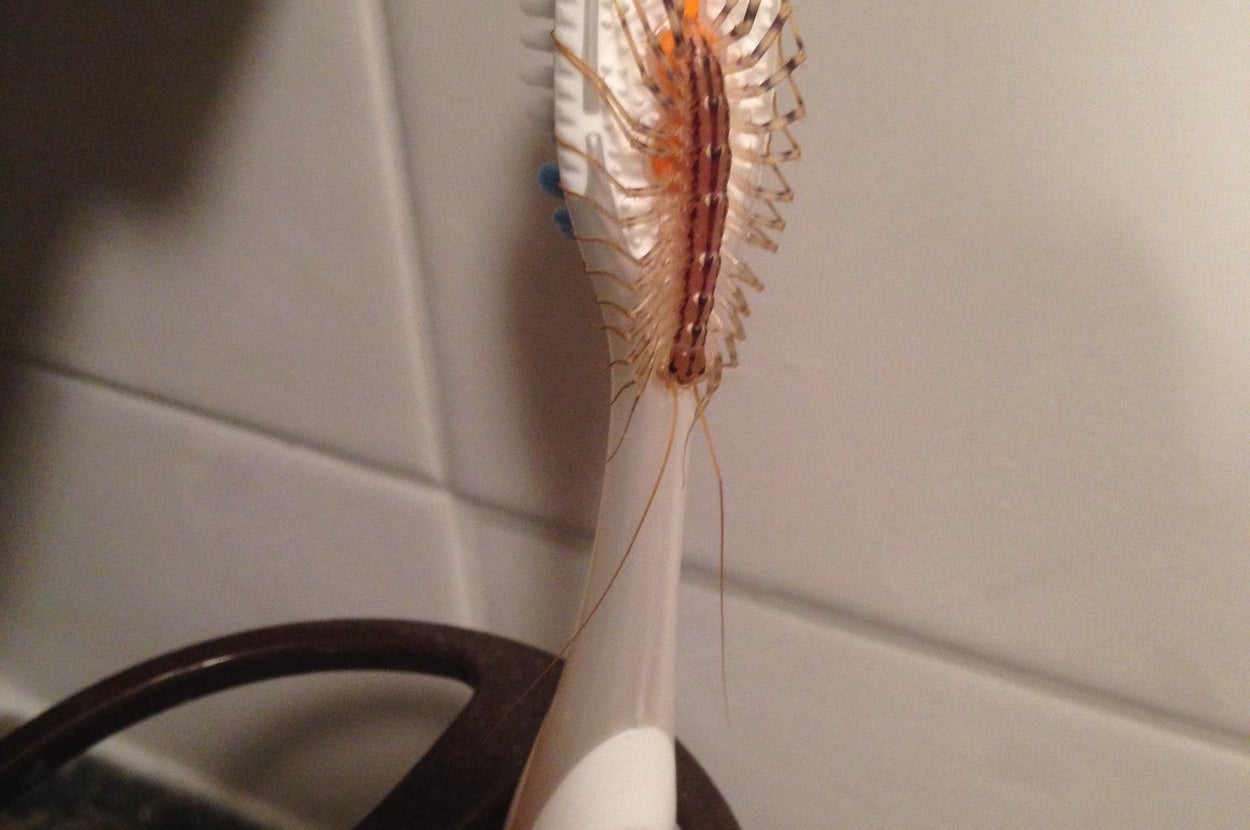 17 Pics That'll Make Your Buttcheeks Clench