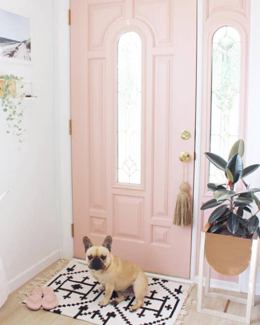 Literally Just 21 Photos Of Beautiful Pups In Beautiful Rooms