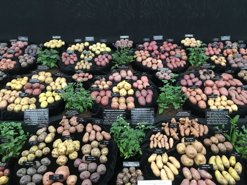 17 Perfect Produce Displays That Belong In A Museum