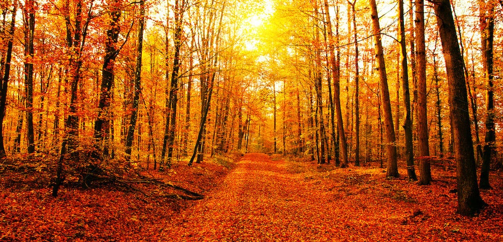 21 Things You'll Get If You're Already Ready For Fall