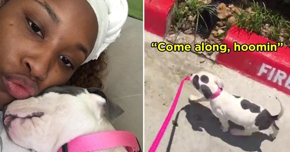 This Puppy Took Her Owner Out For A Walk And What A Strong, Independent ...