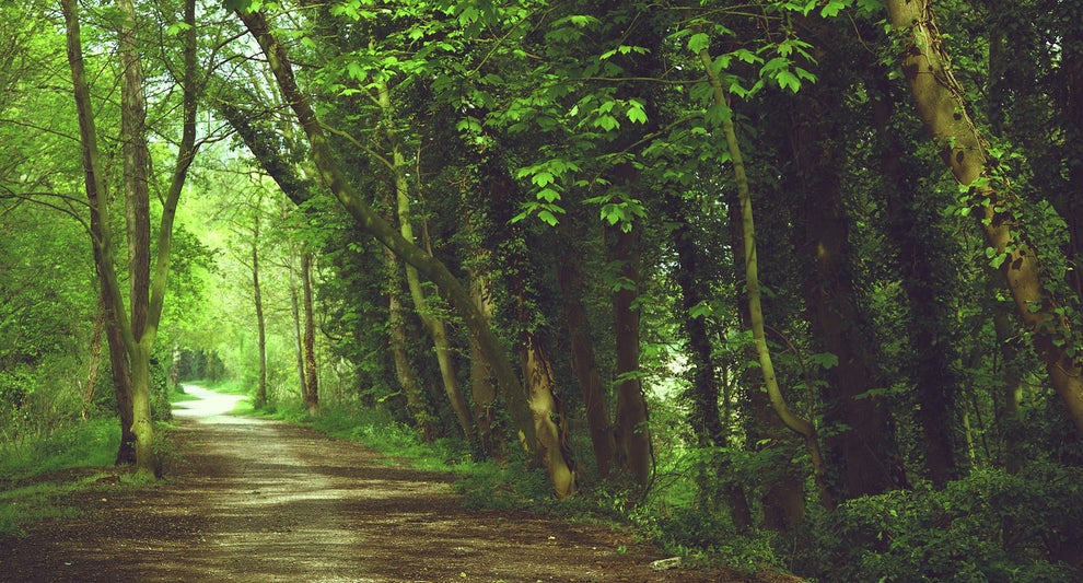 42 Pictures That Perfectly Explain The North Of England