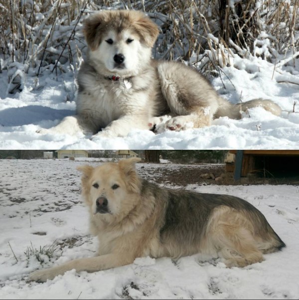 Maria Greer on BuzzFeed