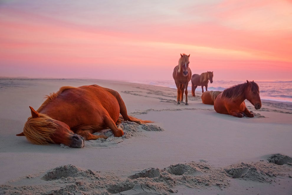 12 Of The Weirdest Beaches In America