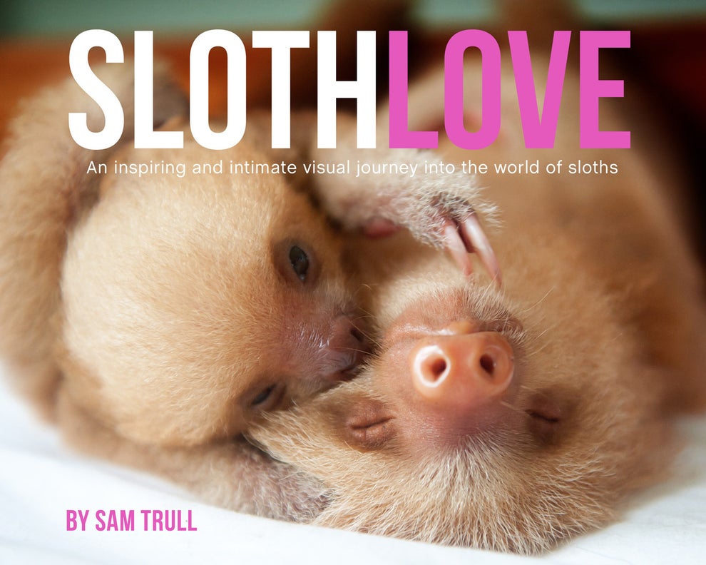 24 Adorable Sloth Products You Won't Be Slow To Buy