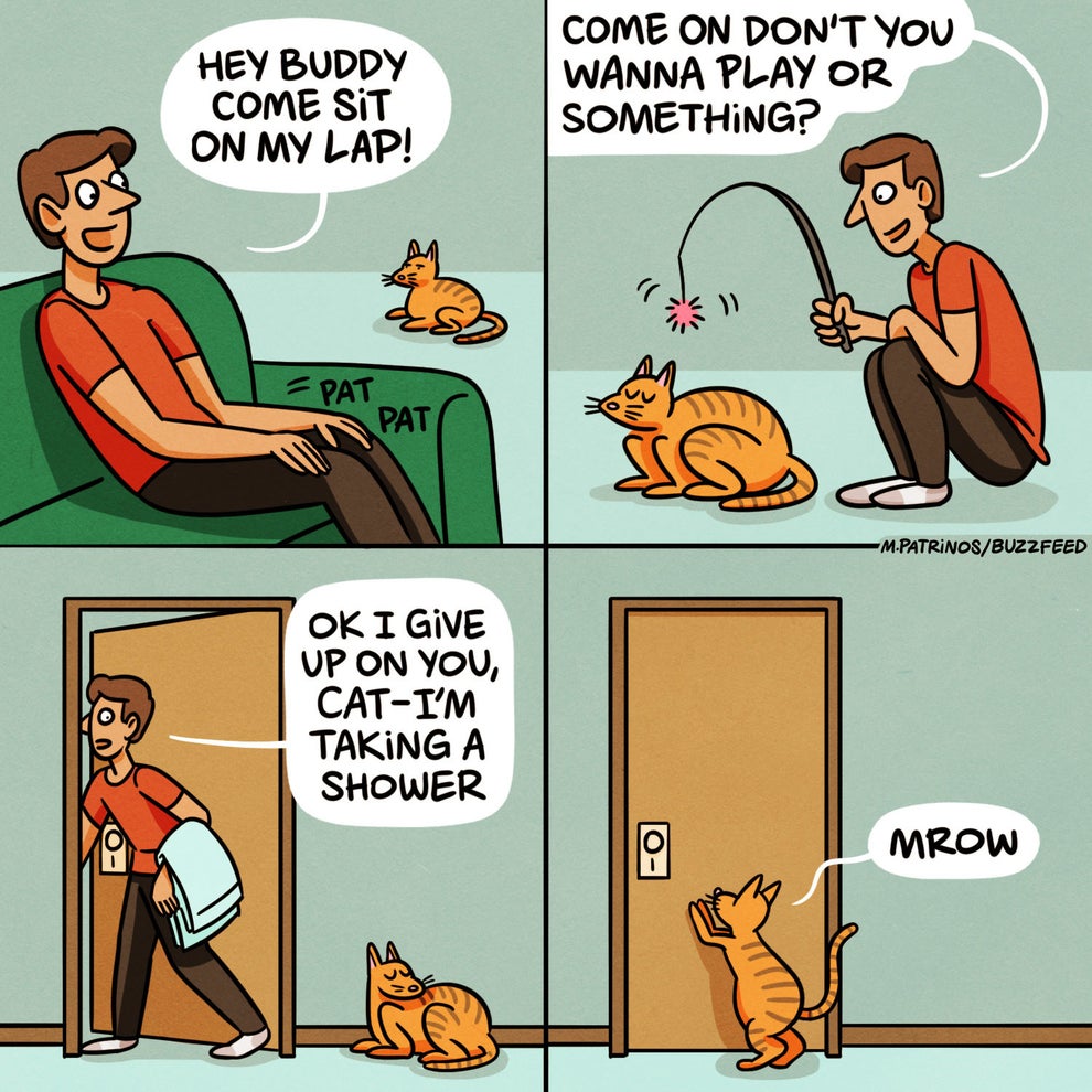 66 Funny Cat Memes That Will Never Get Old