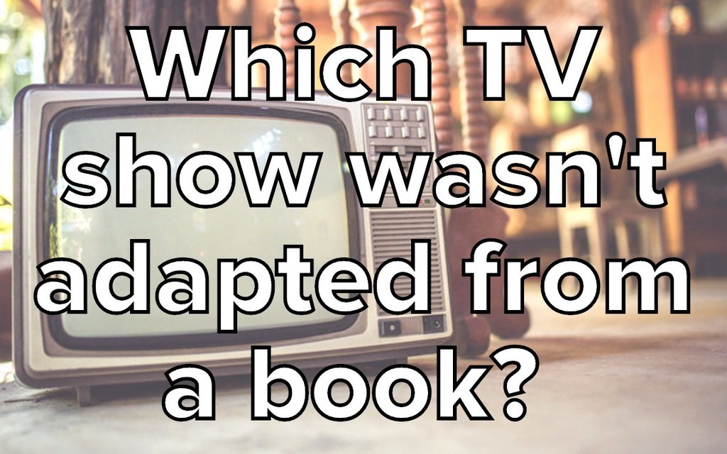 You Can't Watch TV If You Get Less Than 14/17 On This Quiz