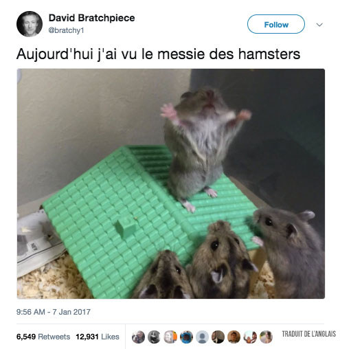 29 tweets débiles qui vont forcément vous faire rire