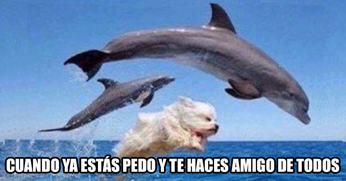 19 Memes de borrachos que te harán decir "la última y nos vamos"