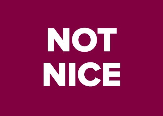 Do You Think These Celebs Are Nice Or Not Nice In Person?