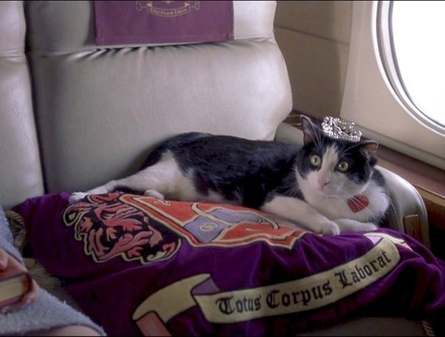 How Well Do You Remember "The Princess Diaries"?