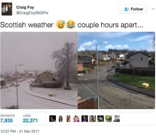 19 Hilarious Pics That Sum Up Scotland So Perfectly They Should Be On ...