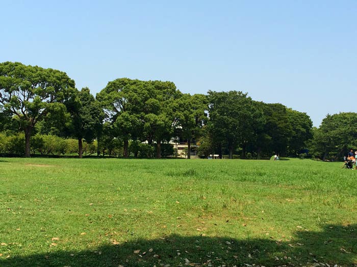 14 Ugly-Ass Parks That Look Fucking Disgusting Without A Confederate Statue