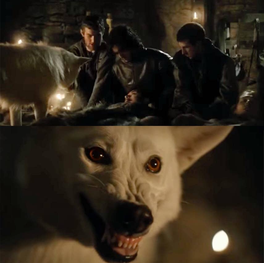 ghost direwolf got