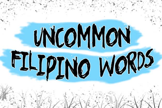 Di Pangkaraniwang Salita sa Filipino – photolicious