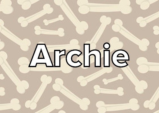 Name These Dogs And We'll Reveal Whether You Think With Your Head Or ...