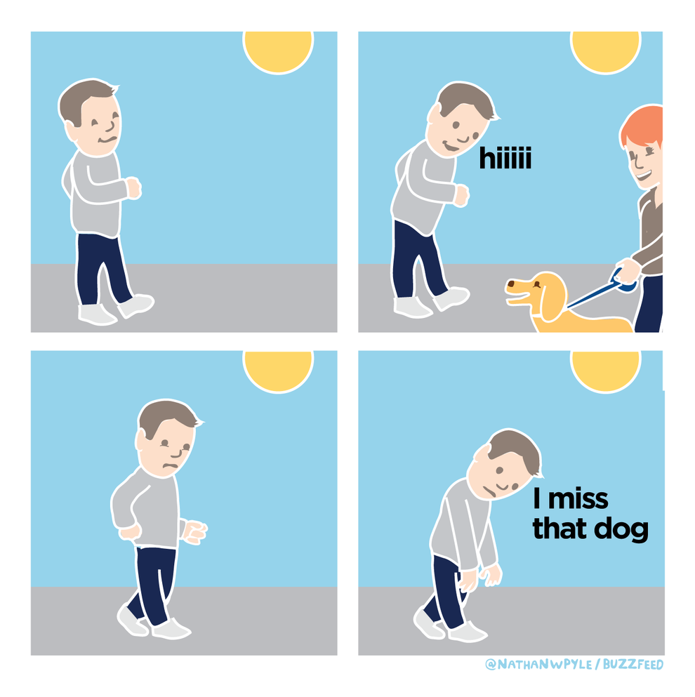 18 Pictures You'll Only Understand If You're Obsessed With Dogs