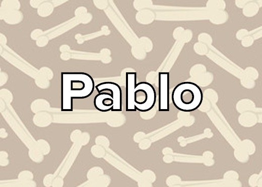 Name These Dogs And We'll Reveal Whether You Think With Your Head Or ...