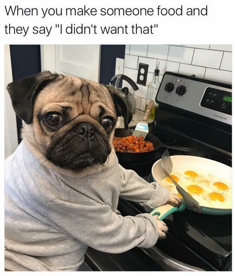 17 Pugs Memes That Are Weirdly Relatable, Funny, And Downright Ridiculous