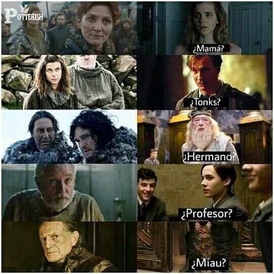 99 Memes de 'Game of Thrones' que necesitas ver y después mandarle a ...