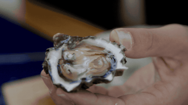 We Tried $3 Seafood Vs. $311 Seafood To See Which Was Worth It