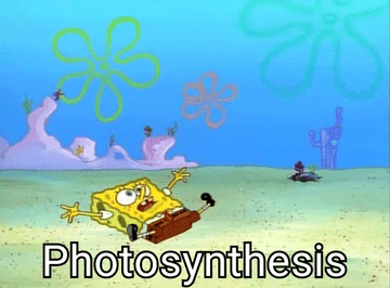 My Mind Is Blown Because There's A Reason Why Plankton From "SpongeBob ...