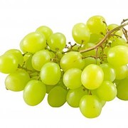 Pack A School Lunch And We'll Tell You What % Trashy You Are