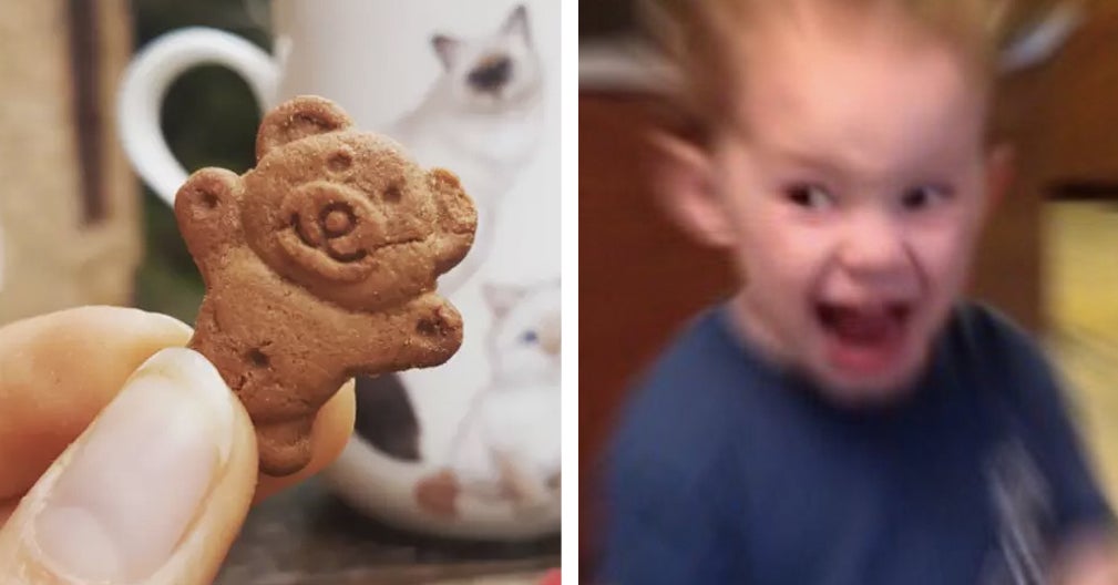 This One Thing You Probably Didn't Notice About Tiny Teddies Will Hurt ...