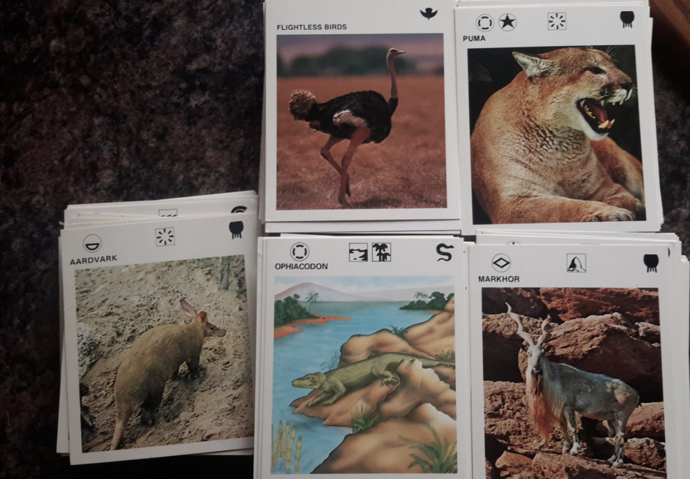 33 Very Random Things That Will Make You Say "Well Shit, I Completely ...