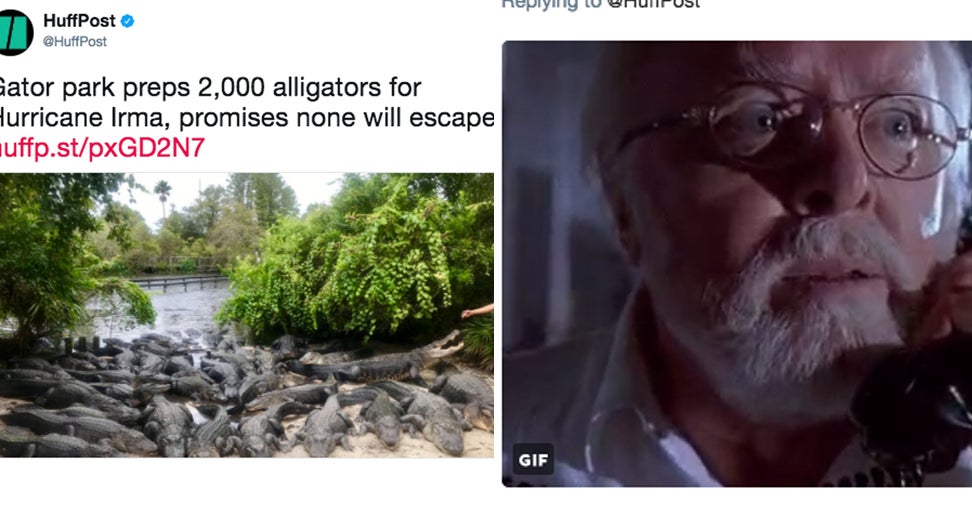 No Gators Will Escape In Florida, They Said. Everything Will Be Fine ...