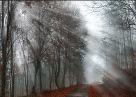 Pick Your Five Favorite Fall Scenes And We'll Reveal What People Like ...