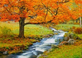 Pick Your Five Favorite Fall Scenes And We'll Reveal What People Like ...